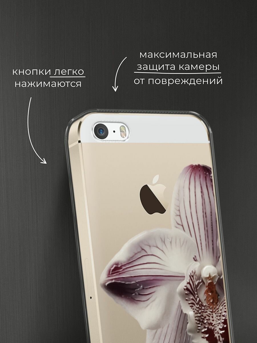 Чехол на Apple iPhone 5/5S/SE / Айфон 5/5S/SE с принтом Белая орхидея — фото 1