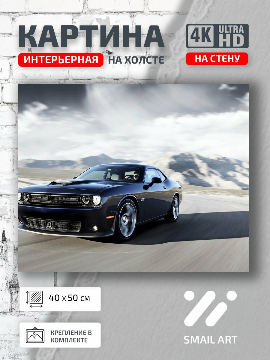 Картина на холсте интерьерная 40 на 50 на стену Стильная hellcat для детской animal style