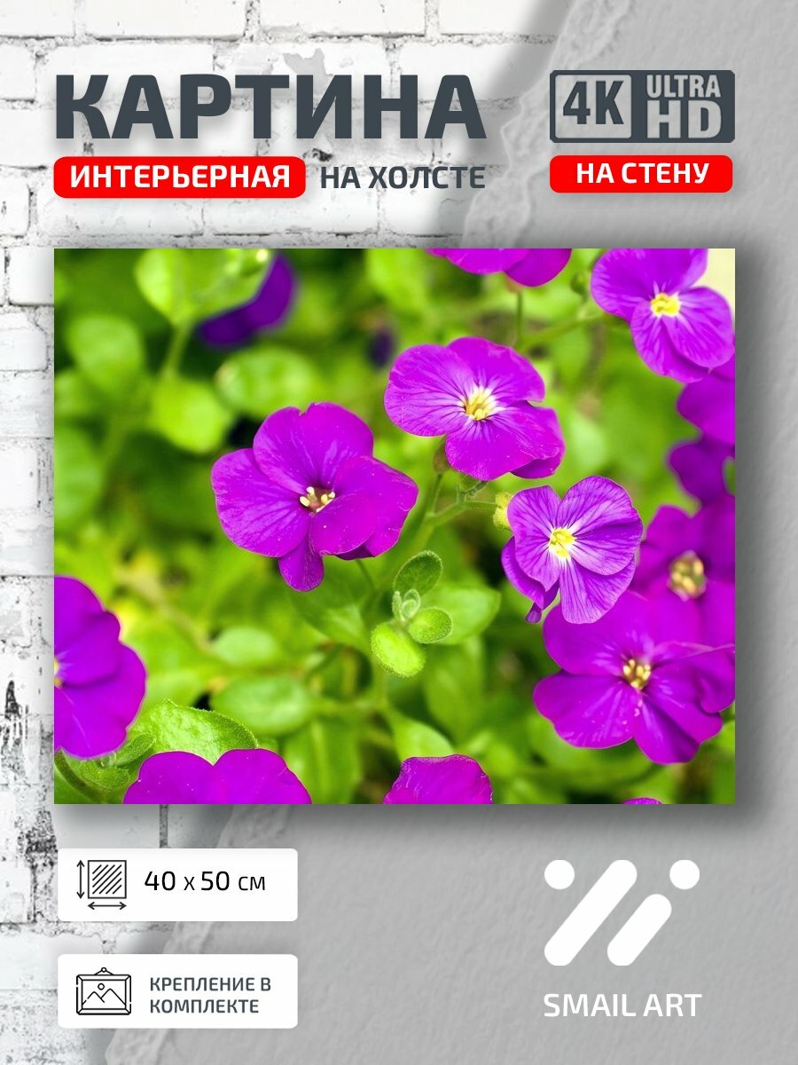 Картина на холсте интерьерная 40 на 50 на стену Фиалки Landscape для кабинета пейзаж декор