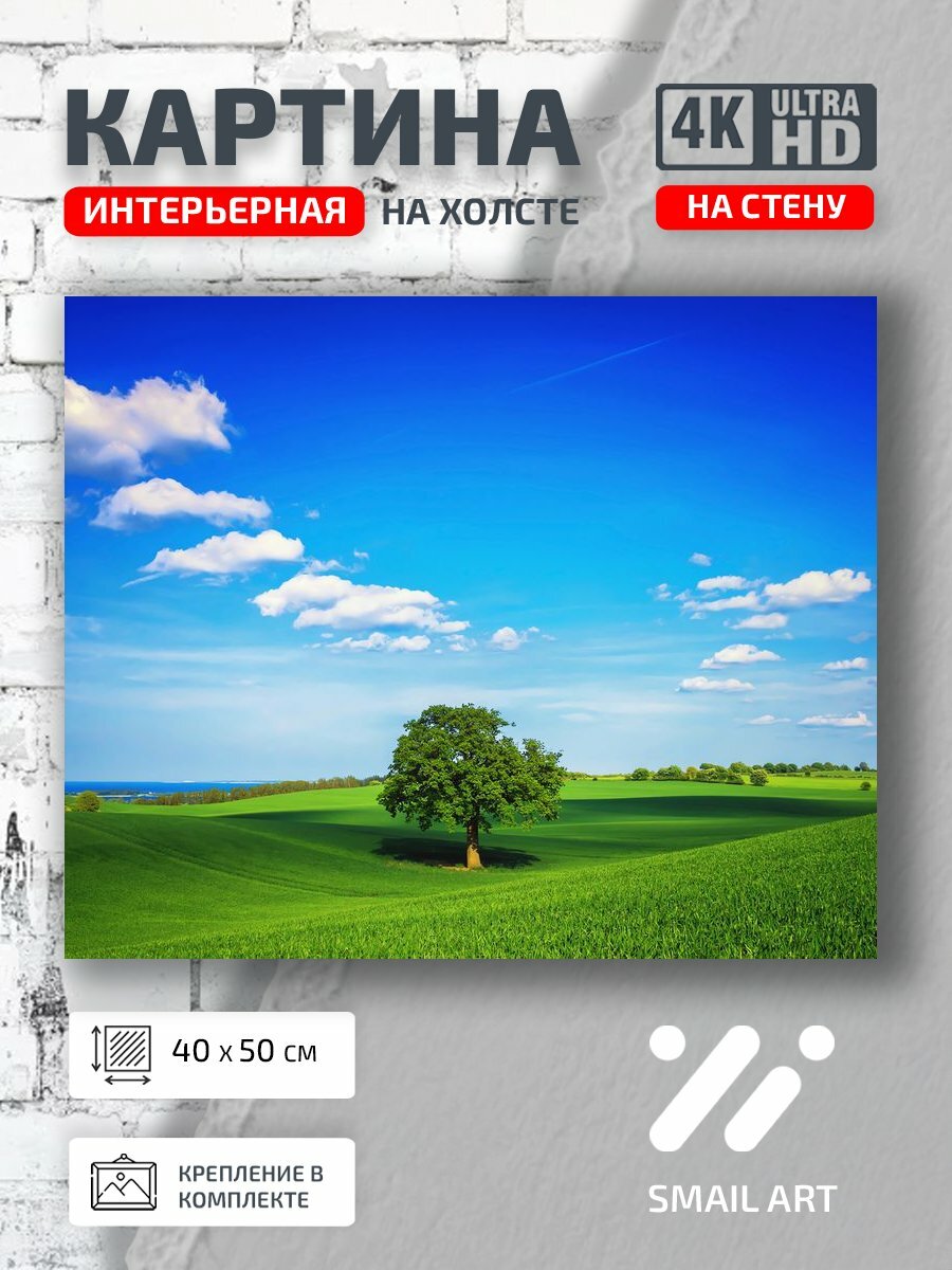 Картина на холсте интерьерная 40 на 50 на стену Небо Landscape для кабинета пейзаж интерьер