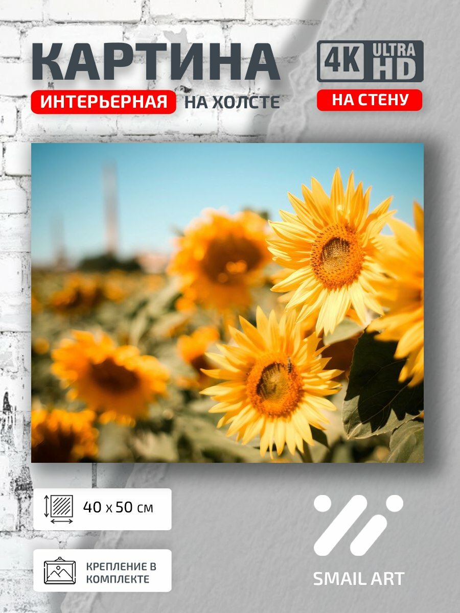 Картина на холсте интерьерная 40 на 50 на стену Подсолнухи Mood для кабинета атмосфера