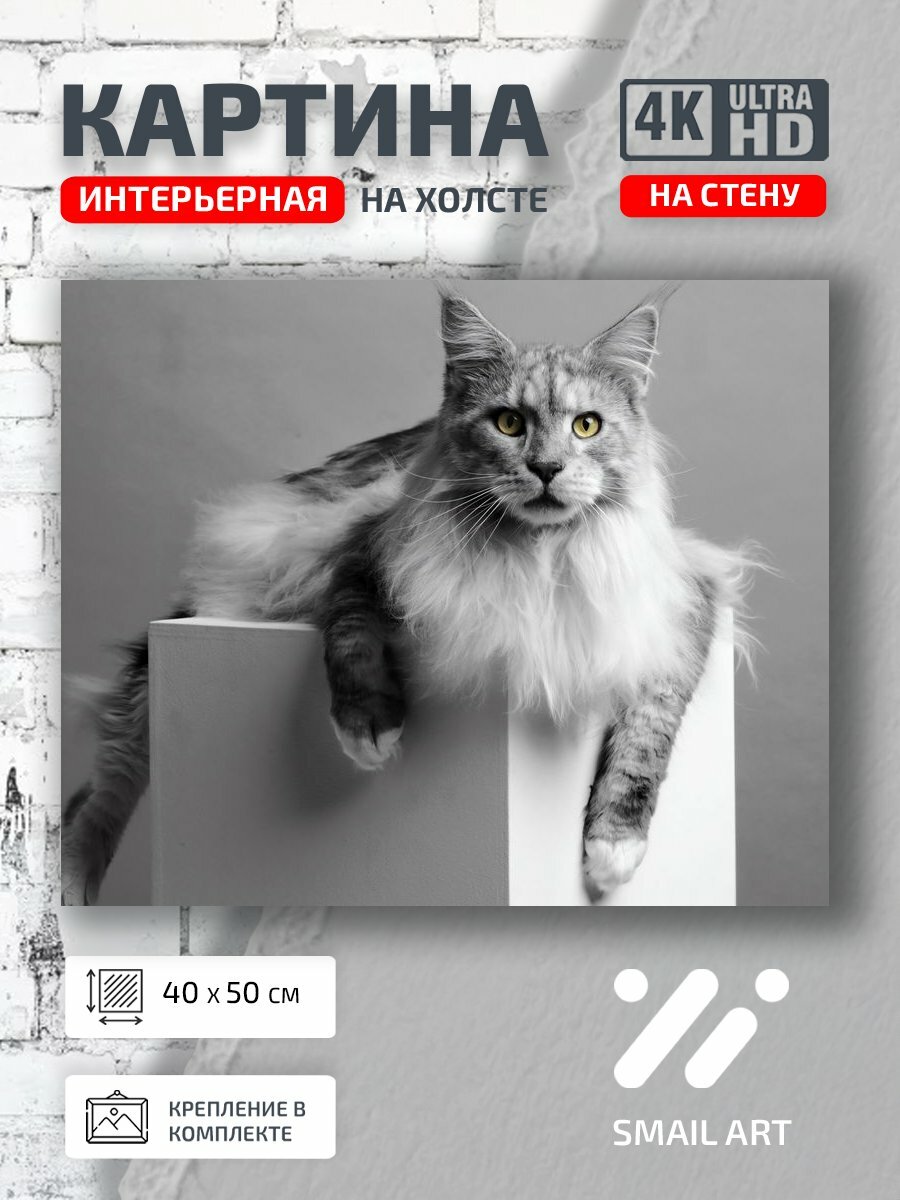 Картина на холсте интерьерная 40 на 50 на стену Шерсть Animal для детской animal style