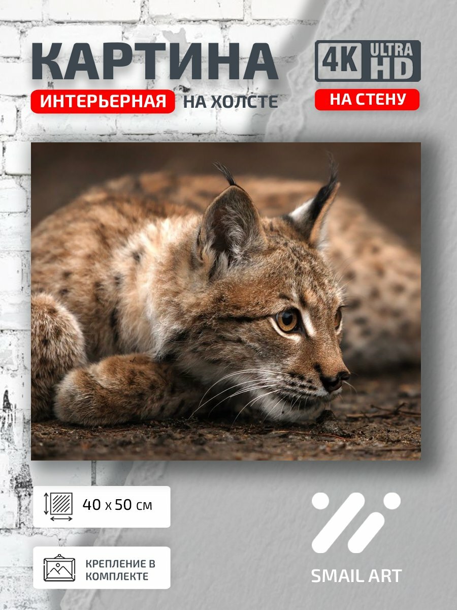 Картина на холсте интерьерная 40 на 50 на стену План Mood для гостиной атмосфера интерьер