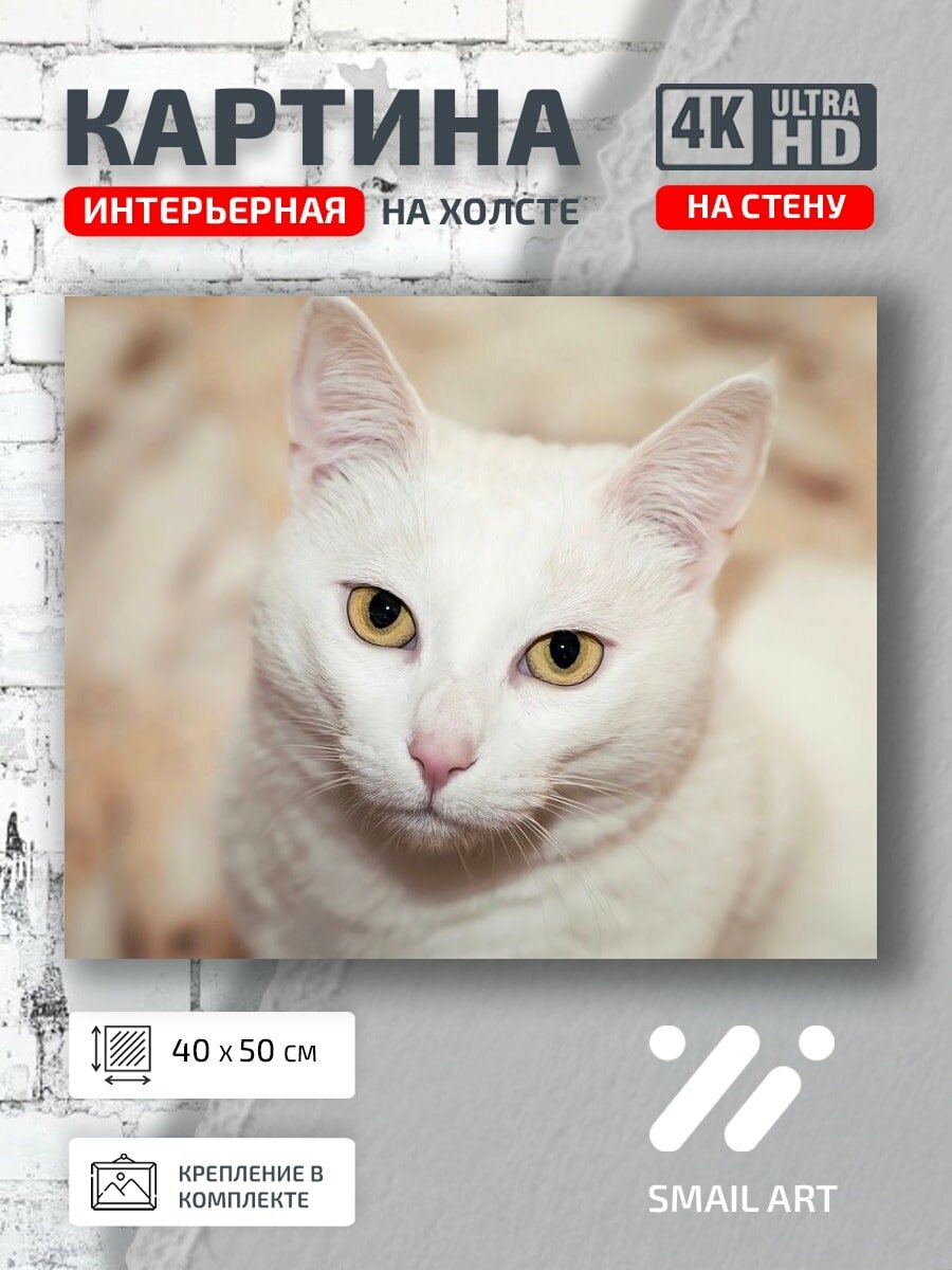 Картина на холсте интерьерная 40 на 50 на стену White cat для детской animal style