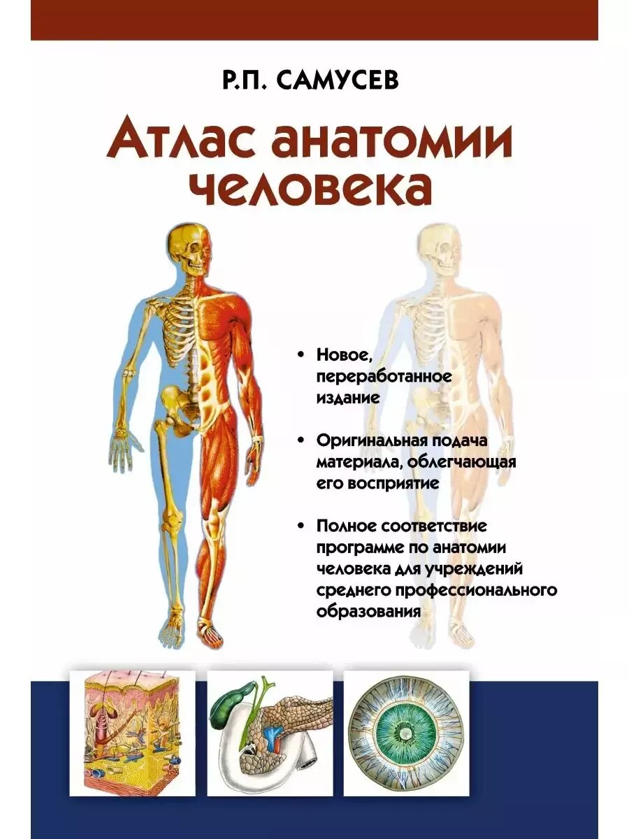 Атлас анатомии человека. Учебное пособие для студентов учреждений среднего профессионального образов