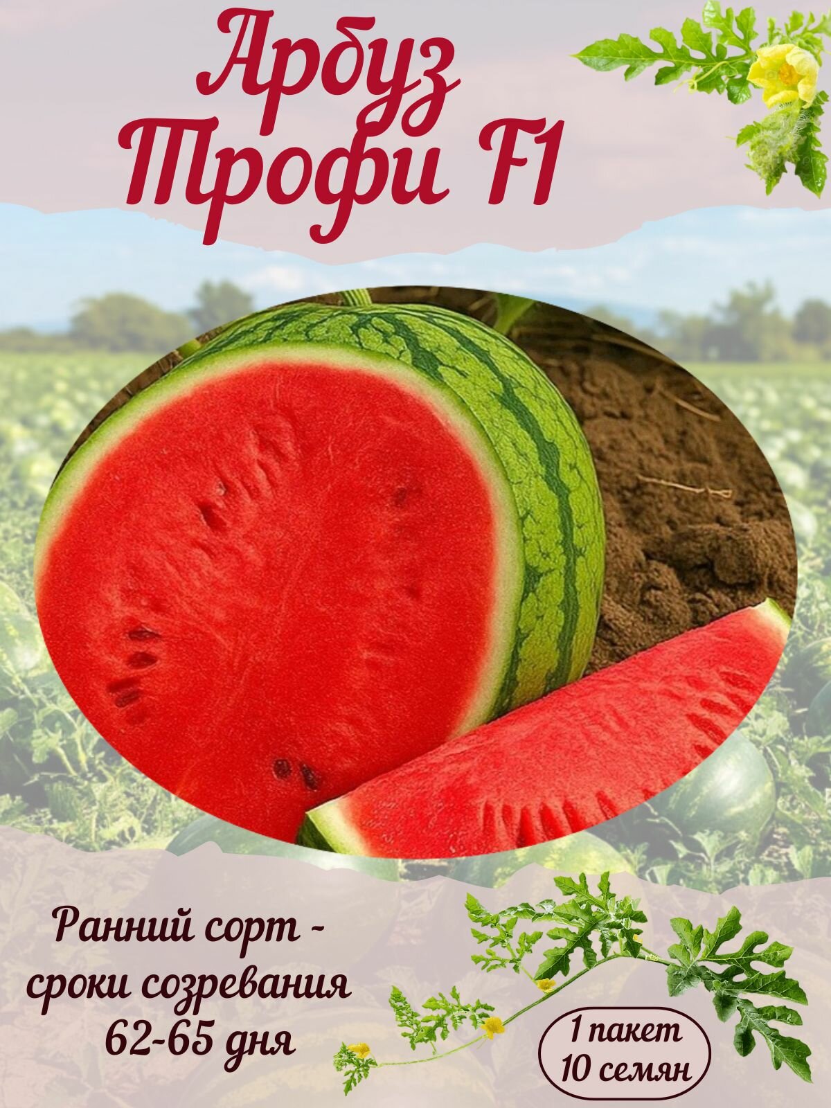 Арбуз Трофи F1, семена, 10 шт, 15 гр.