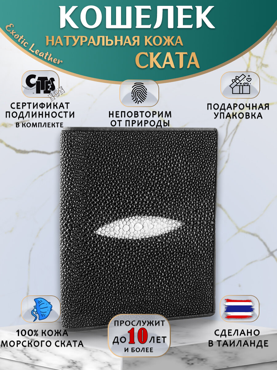 Бумажник