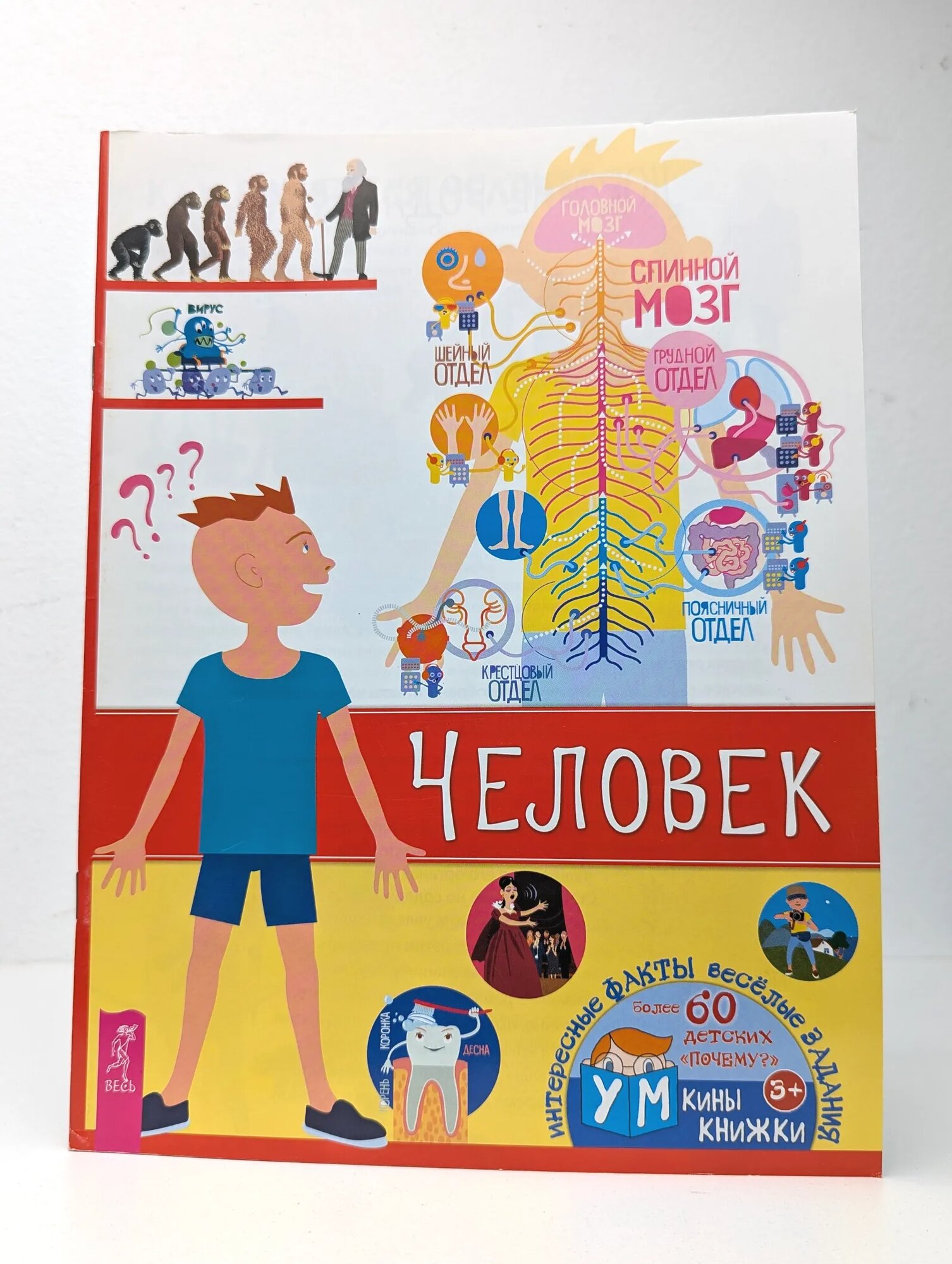 Человек Евдокимова Ксения 2019