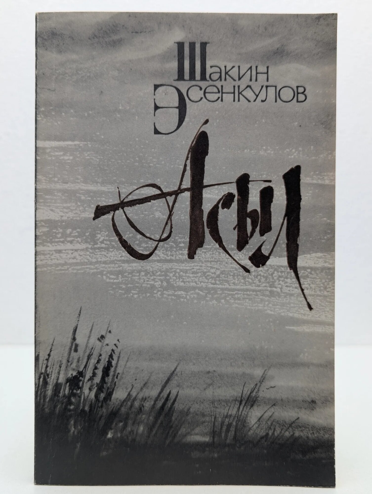 Асыл Эсенкулов Шакин 1990