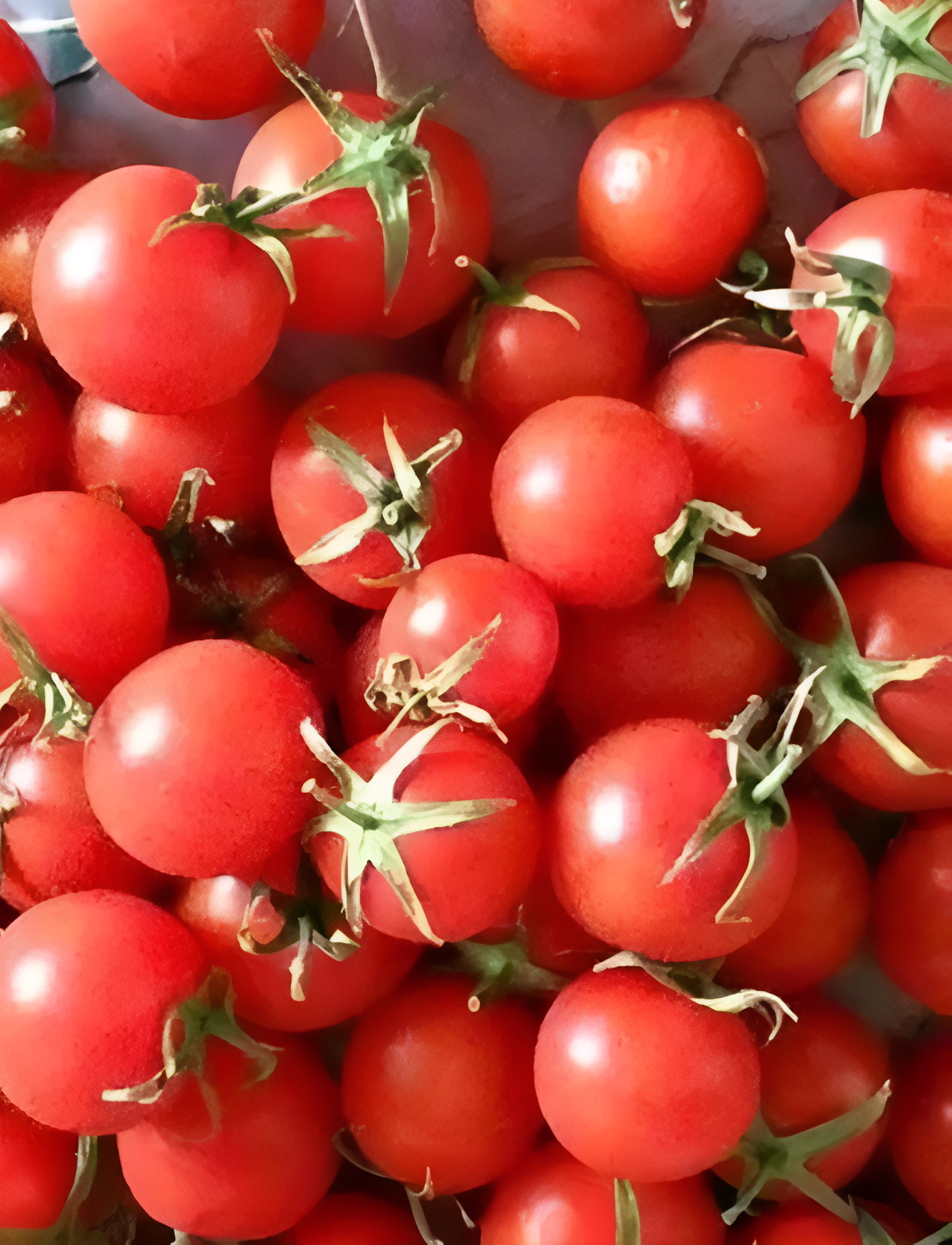 Дикие сладкие помидоры "Свит Пиа", 15-20 семян, розовые, однолетние, 150см