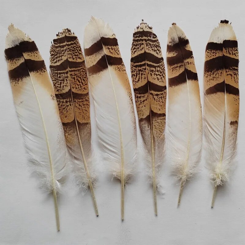 Натуральные перья орла для поделок 10 шт 20-25cm