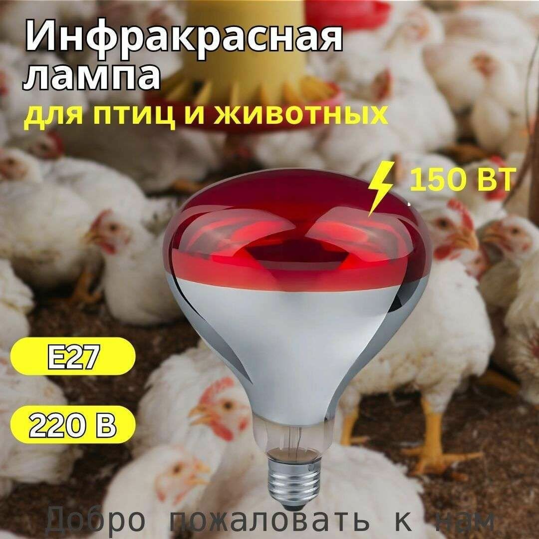 Лампа инфракрасная