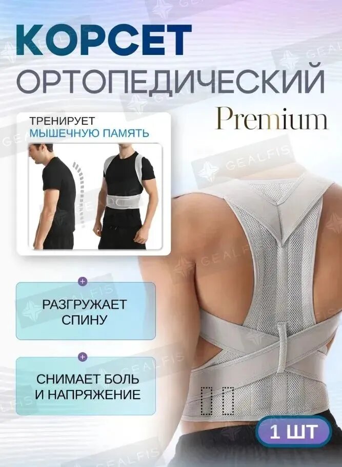 Тренажер для спины артикулOZON02-001Серый