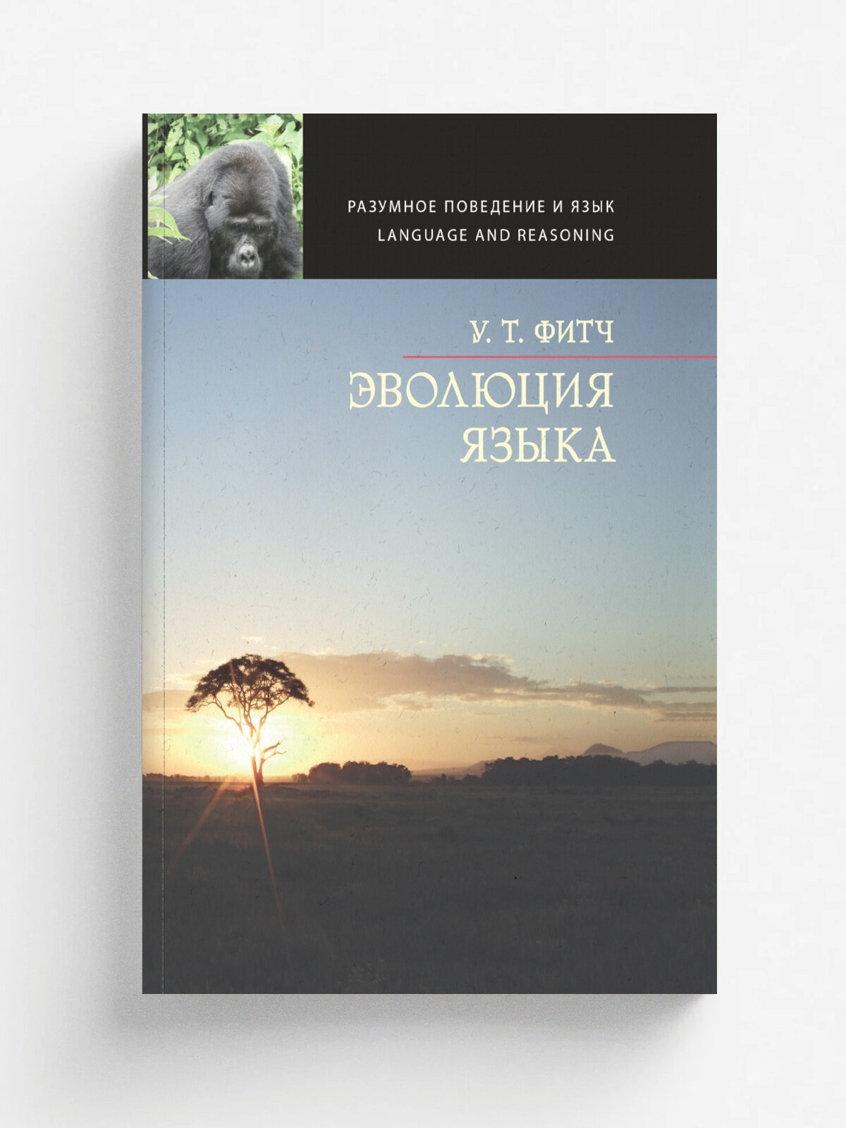 Эволюция языка