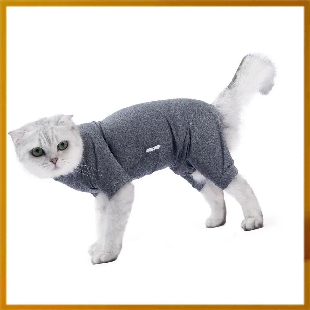 Комбинезон для восстановления кошек