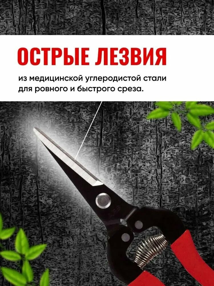 Секатор