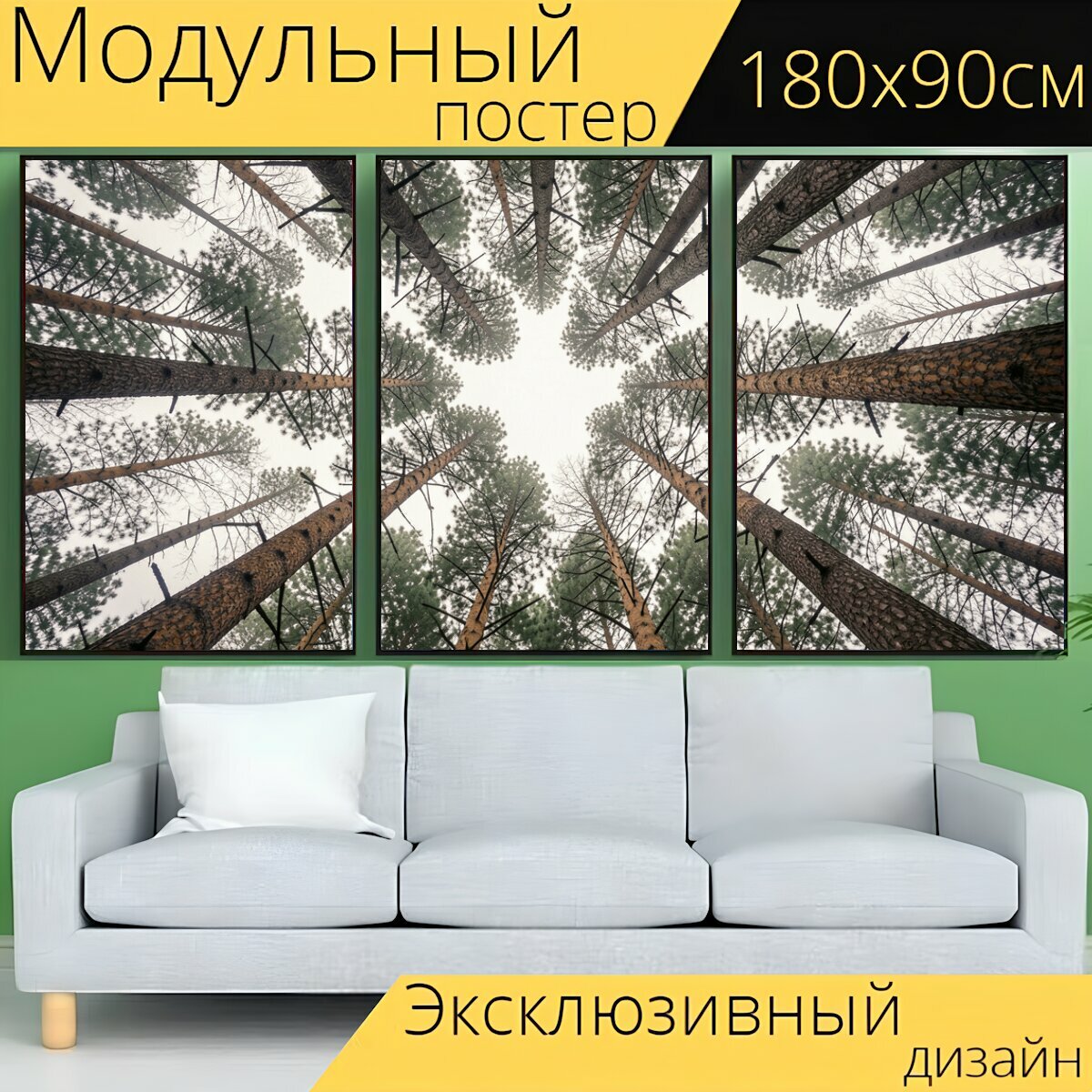 Модульный постер "Высокие сосны снизу вверх. Хвойный лес в перспективе к небу: стройные стволы, зеленые кроны, туманная дымка." 180 x 90 см. для интерьера на стену в тубусе