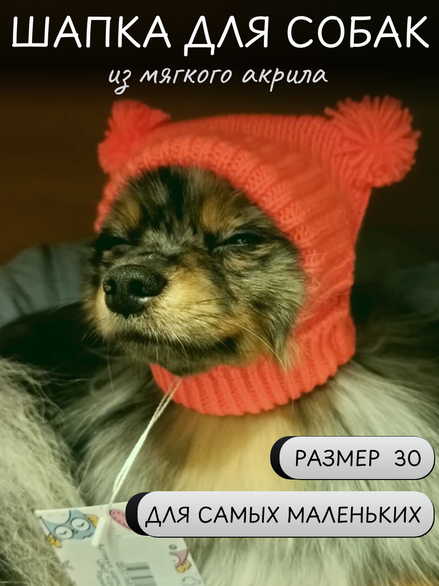 Шапка для маленьких собак капор с ушками с закрытой шеей, коралловая, акриловая, теплая зимняя вязаная
