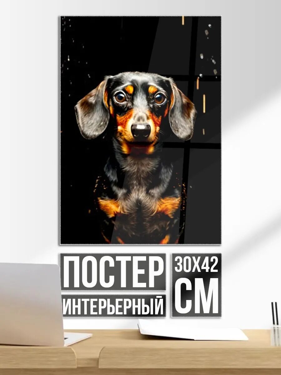 Постер на стену Такса на черном