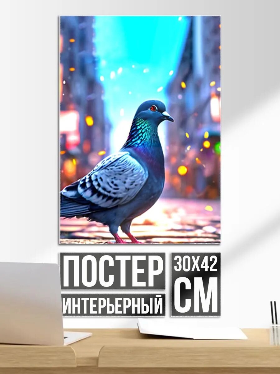 Постер на стену Городской голубь