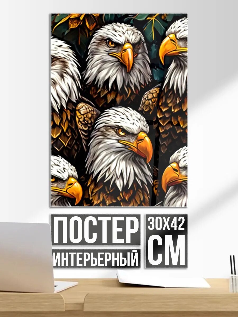 Постер на стену Белоголовые орлы