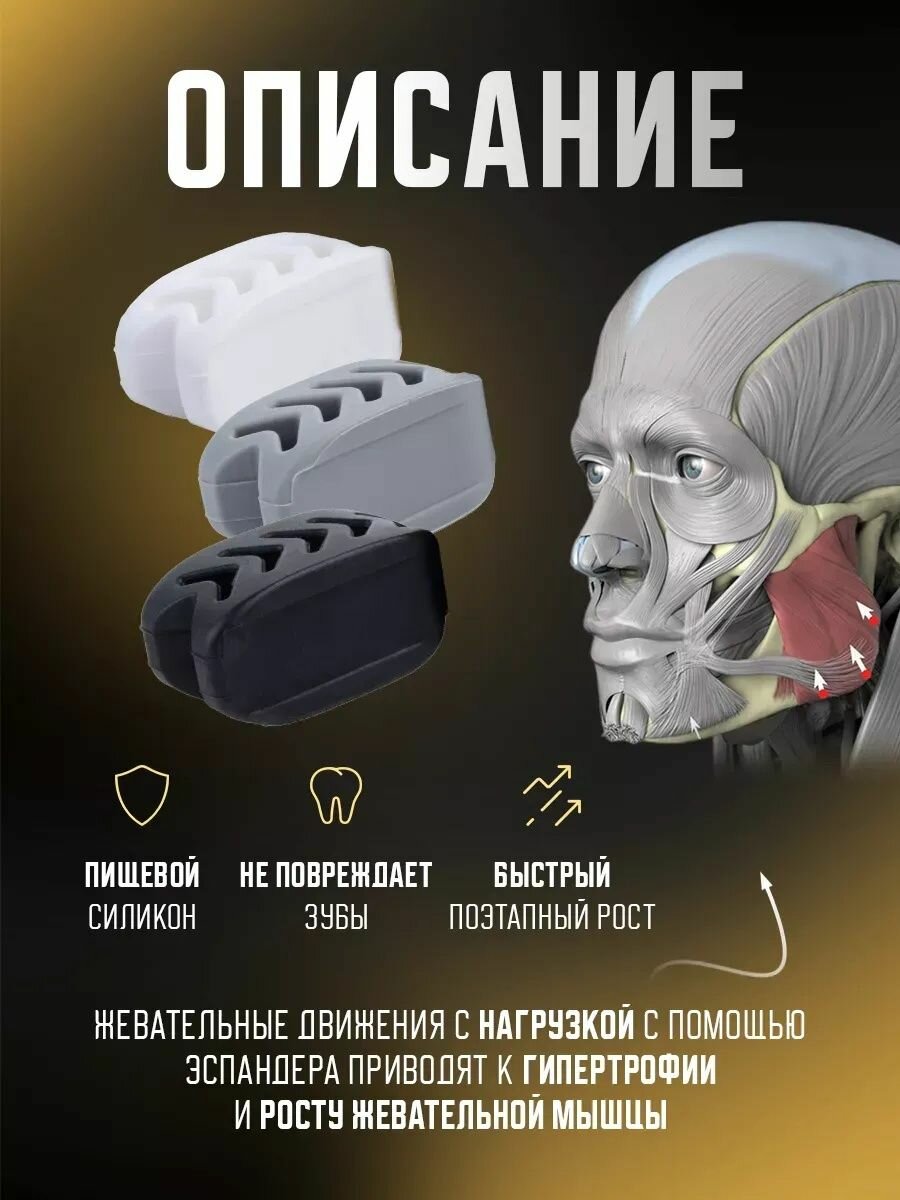 Эспандер , 6 шт, 40 кг — фото 1
