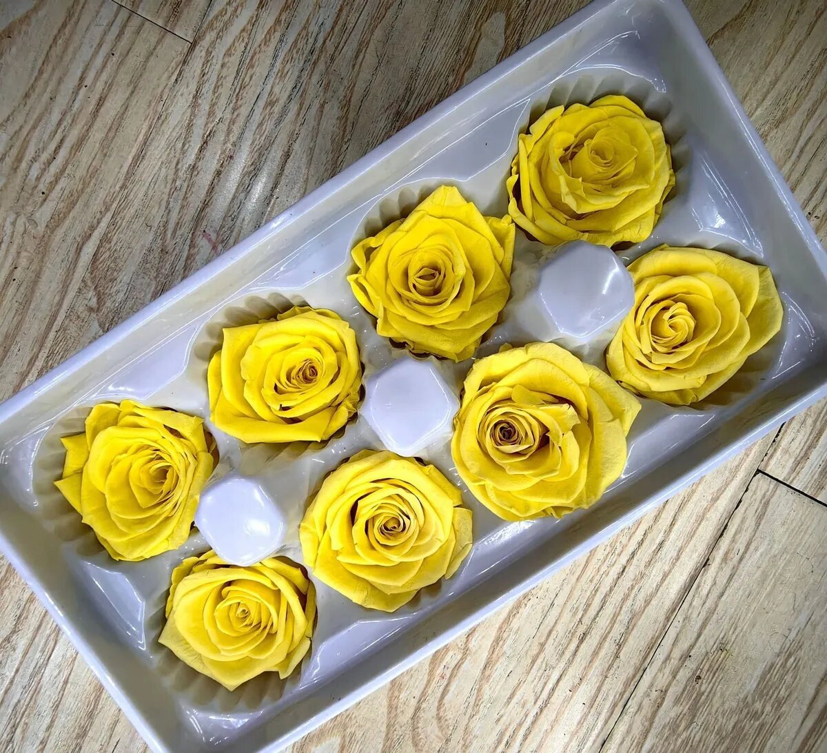 Стабилизированные цветы Роза, 4 см, 250 гр, 8 шт