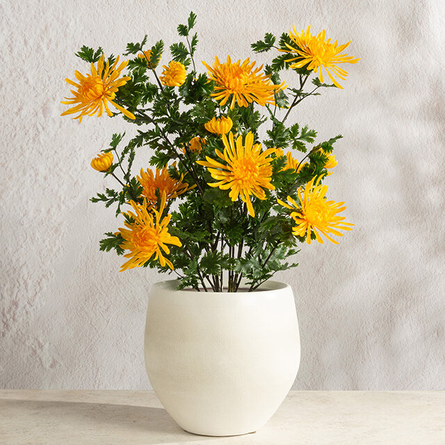 Искусственный цветок в горшке Хризантема Mentana 60 см, Summer Deco, 5010088