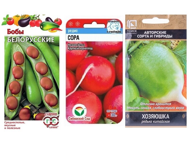 Набор семян овощей Овощные фантазии (Бобы Белорусские, Редис Сора, Редька китайская Хозяюшка)