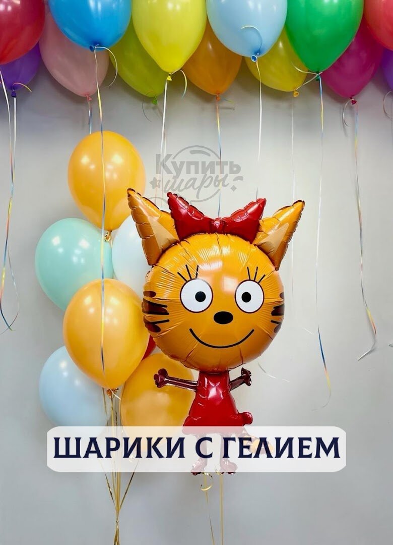 Воздушные шары с гелием, шарики воздушные "Три кота" №2752