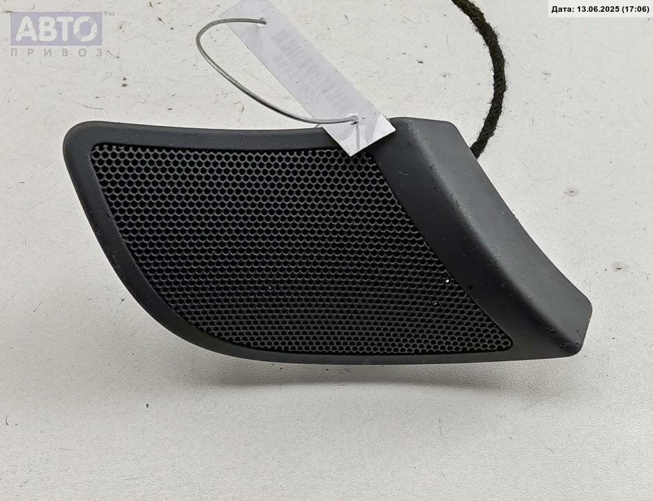 Динамик высокочастотный (пищалка) Audi A4 B6 (2001-2004)