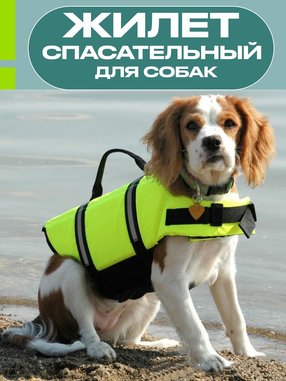 Спасательный жилет для плавания для собак