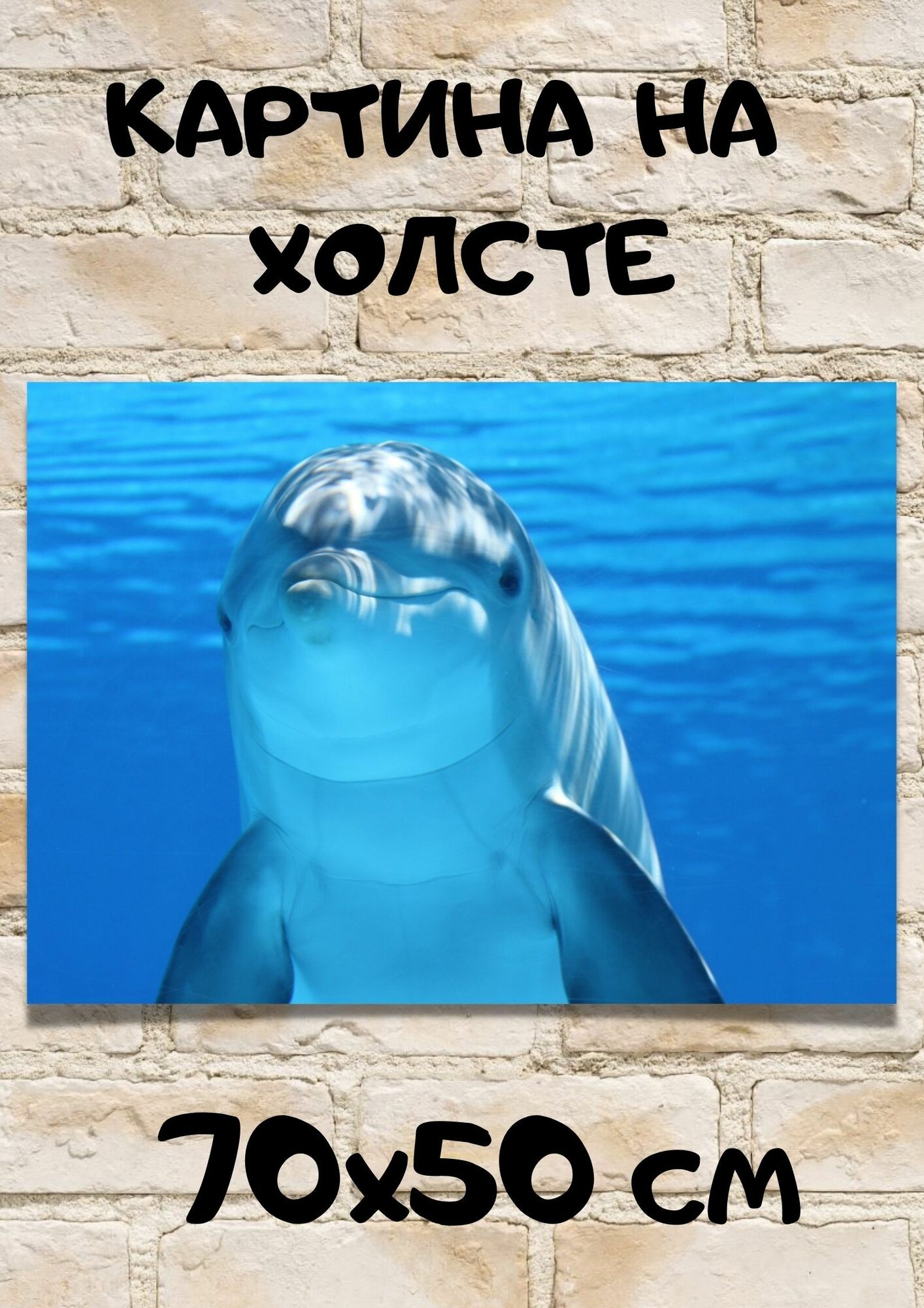 Картина с дикими животными "Дельфин в воде" 70х50 см