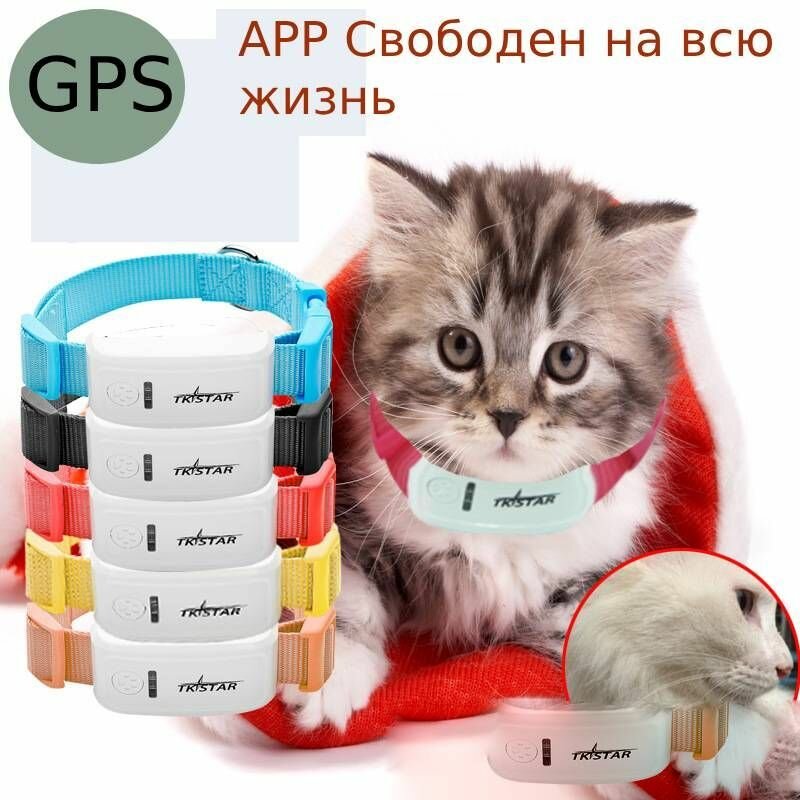 GPS-трекер TK909 для Собак, Кошек (Котов) с Ошейником, Режим ожидания в течение 10 дней