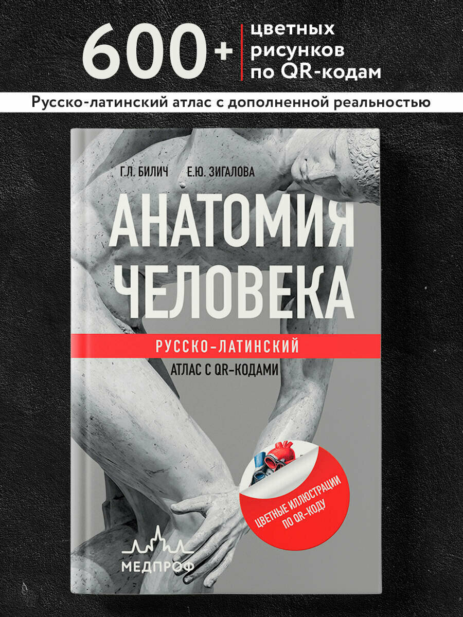 Билич Г. Л, Зигалова Е. Ю. Анатомия человека: Русско-латинский атлас с QR-кодами на цветные изображения