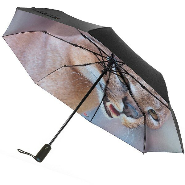Зонт RainLab