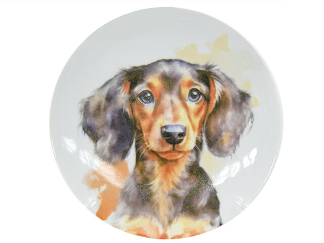 Тарелка обеденная Мой питомец Луна фарфор 24см Добрушский фарфоровый завод