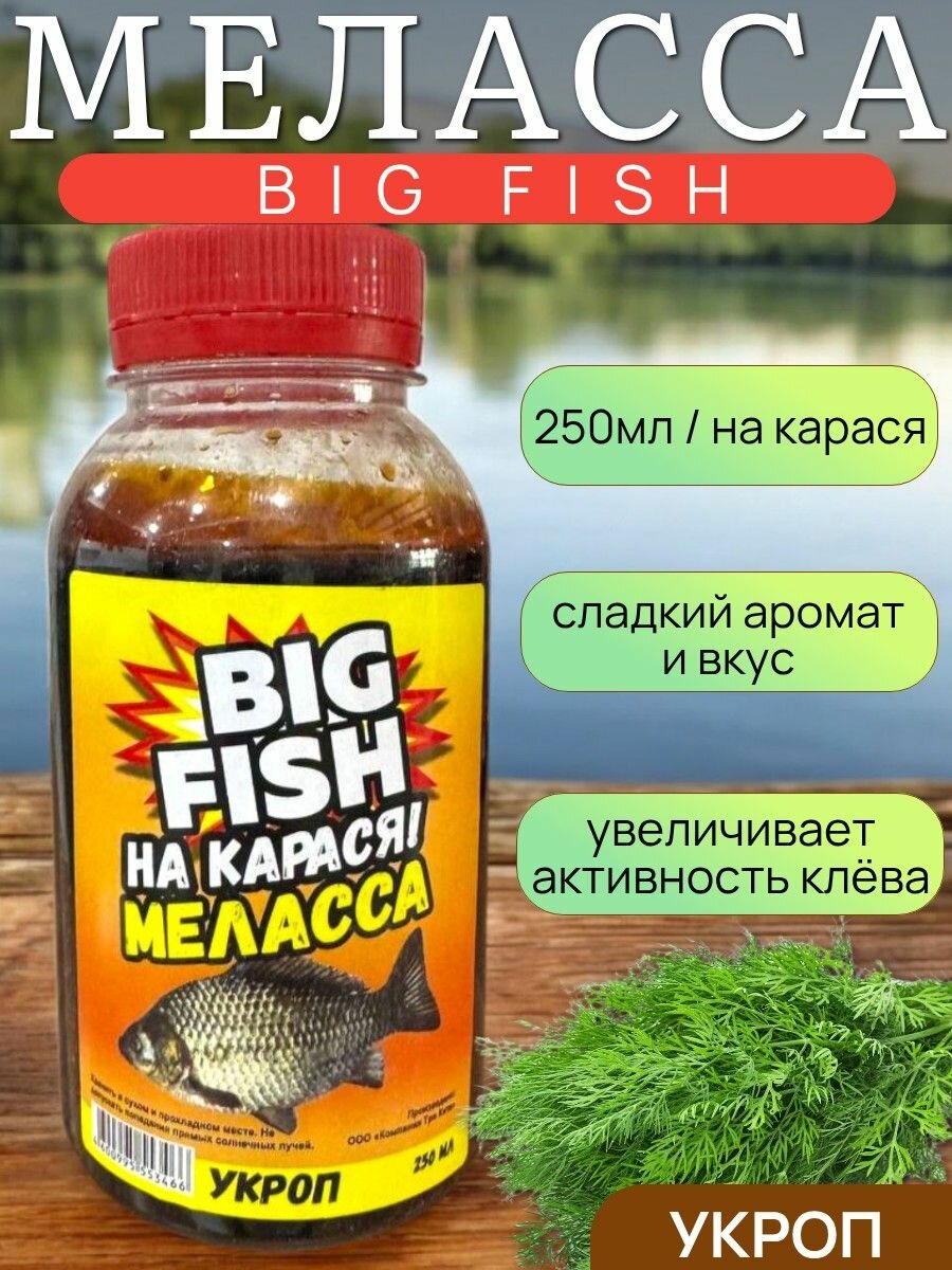 Меласса "BIG FISH" На карася - вкус "Укроп" 250мл / активатор клева