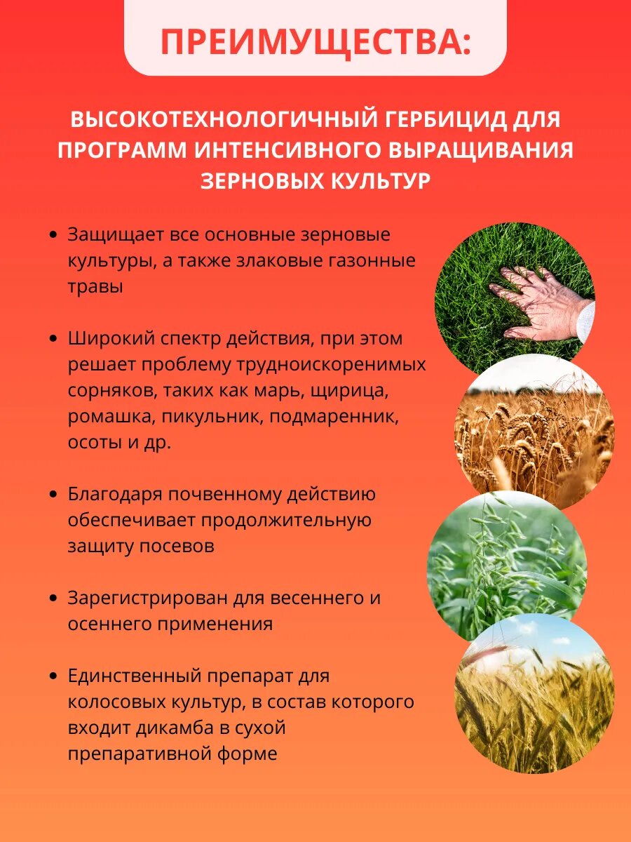 "Линтур, ВДГ" гербицид от сорняков на газоне и злаковых культур 1 кг — фото 1