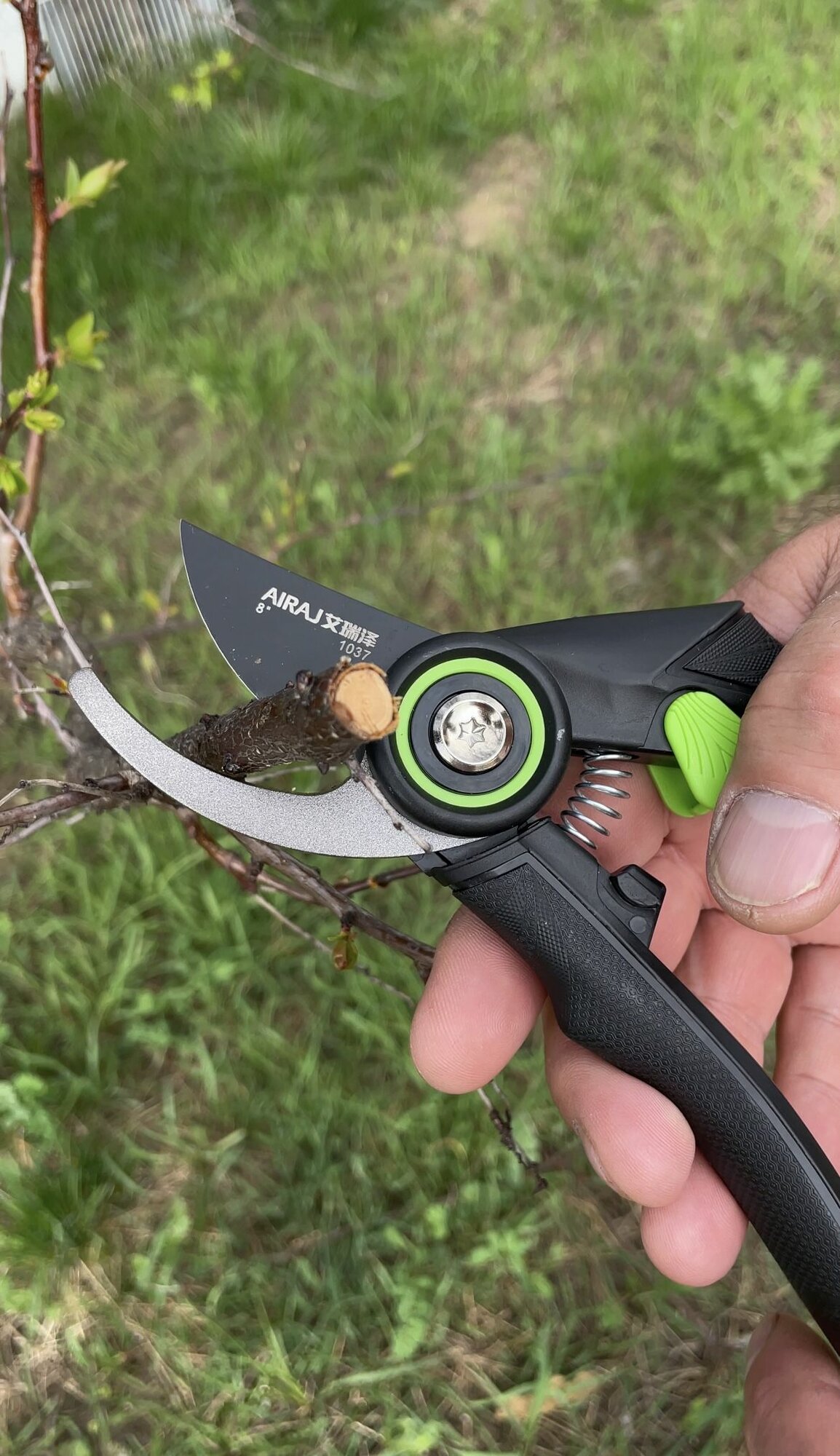 **Секатор***