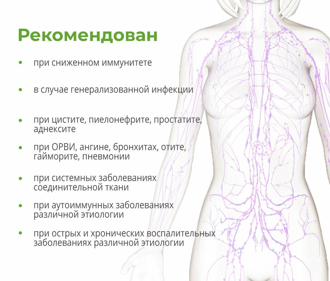 Кристаген (Пептиды Хавинсона) пептиды для иммунитета, 60 капсул, бад для восстановления иммунной системы, профилактика ОРВИ, ангина, бронхит, гайморит, пневмония — фото 1