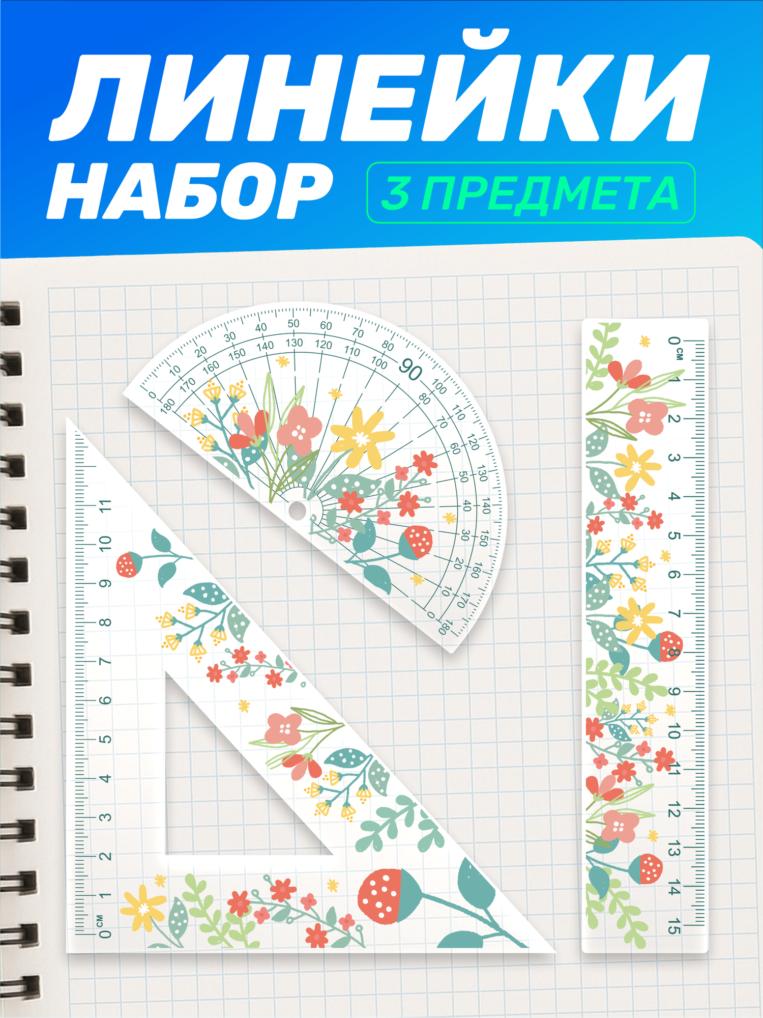 Набор линеек для школьника с транспортиром Цветочки