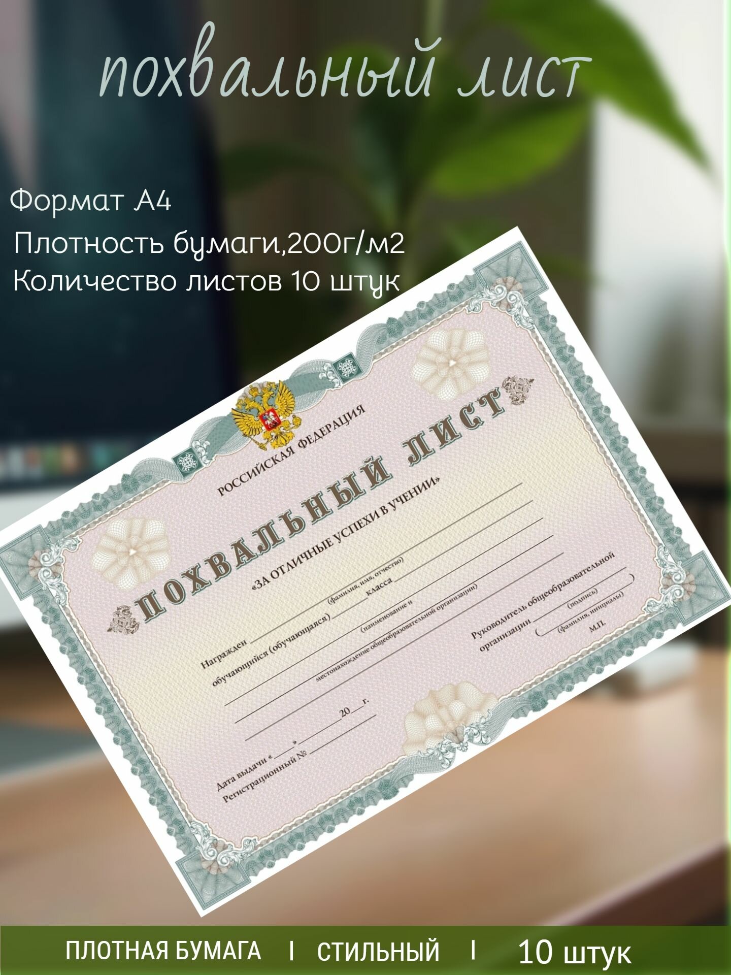 Грамота "Похвальный лист" А4, набор 10 штук