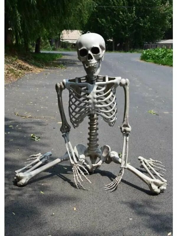Большой человеческий скелет бутафорский 170 см на Хэллоуин Borosko 32-005 -kpa