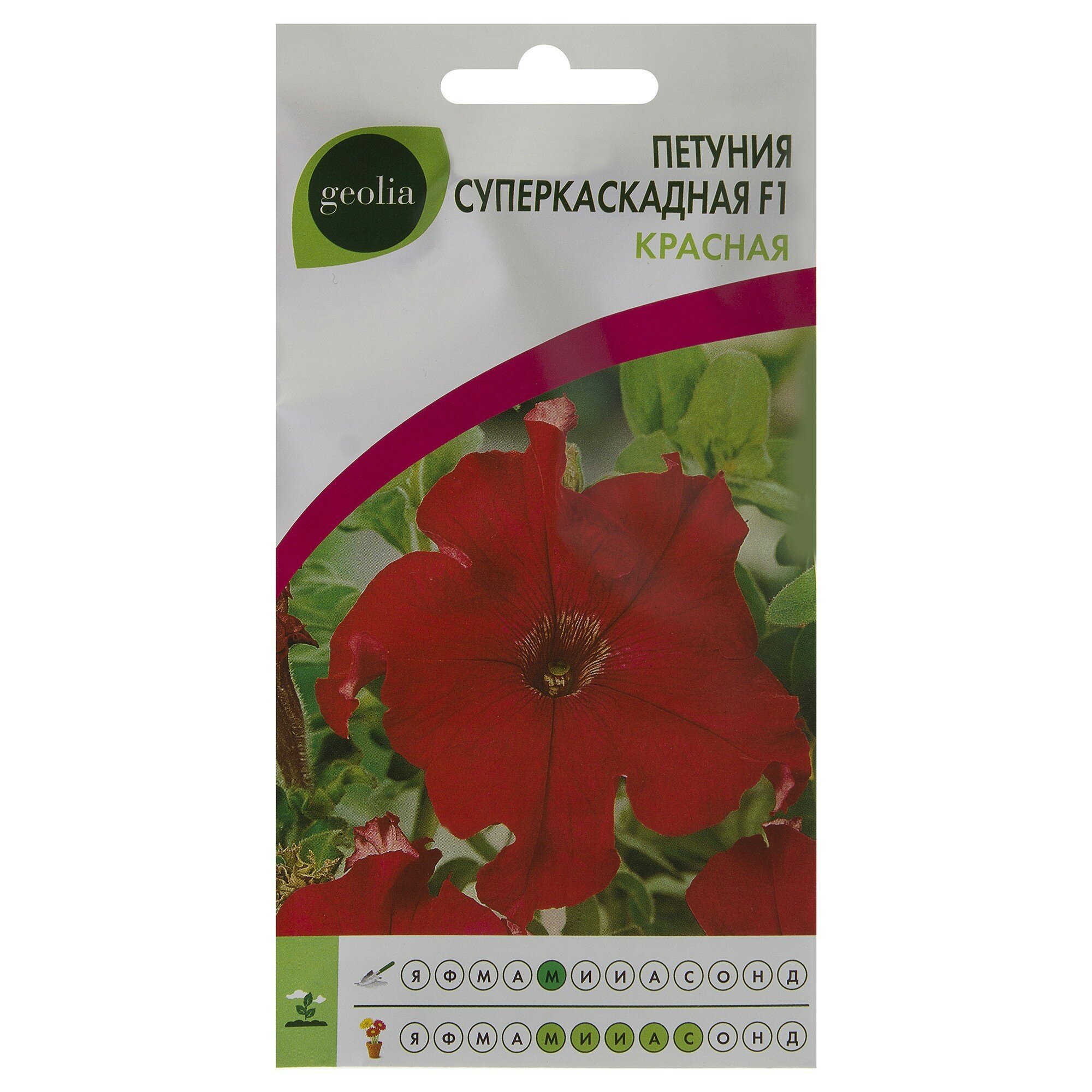 Петуния Geolia суперкаскадная красная F1, для дачи, сада, огорода и на рассаду