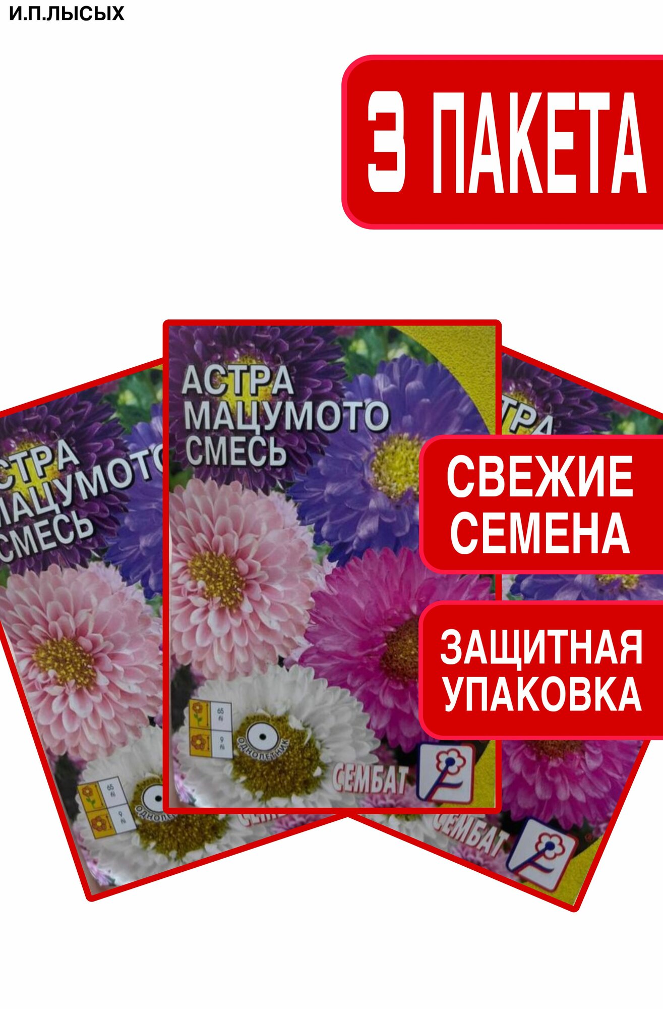 Семена Астра "Мацумото"