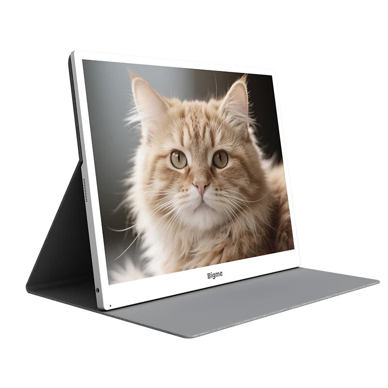 BIGME ePaper Monitor B13 13.3"