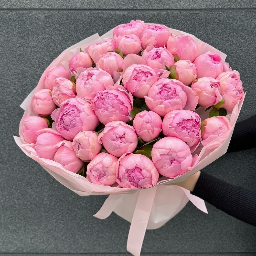 Букет из розовых пионов 31 шт шикарный букет премиум букет премиум цветы