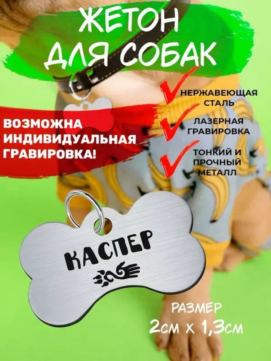 Адресник для собаки с гравировкой, нерж. сталь, серебристый, Каспер