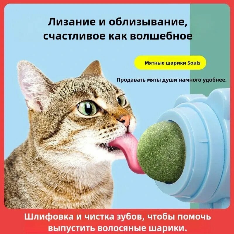 Игрушки для кошек, кошачья мята, леденец для кошек, шарик на стену